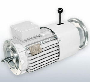 VEM Low-voltage Motors - emd.co.th